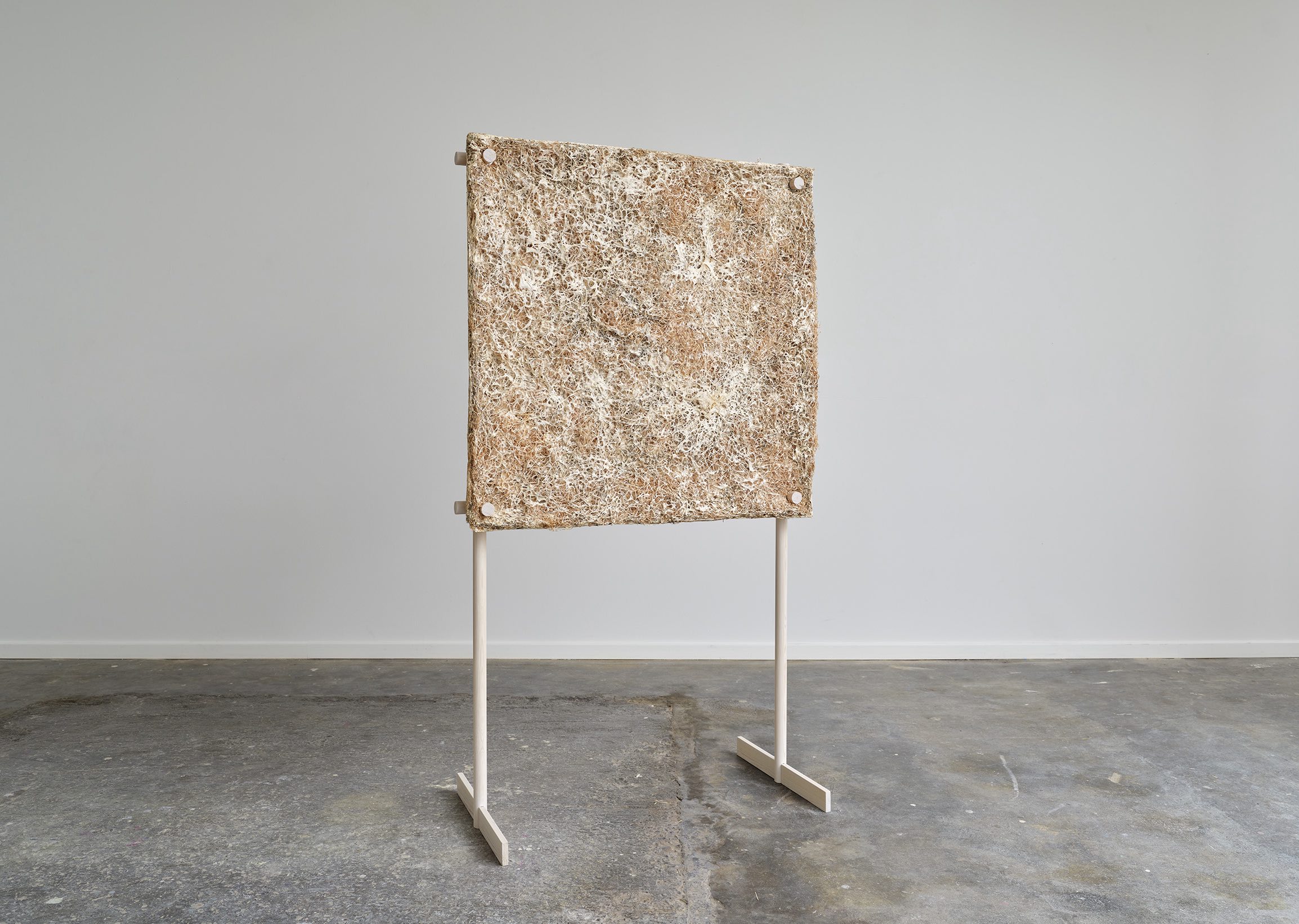 Jonas Edvard — The Mindcraft Project :The Mindcraft Project